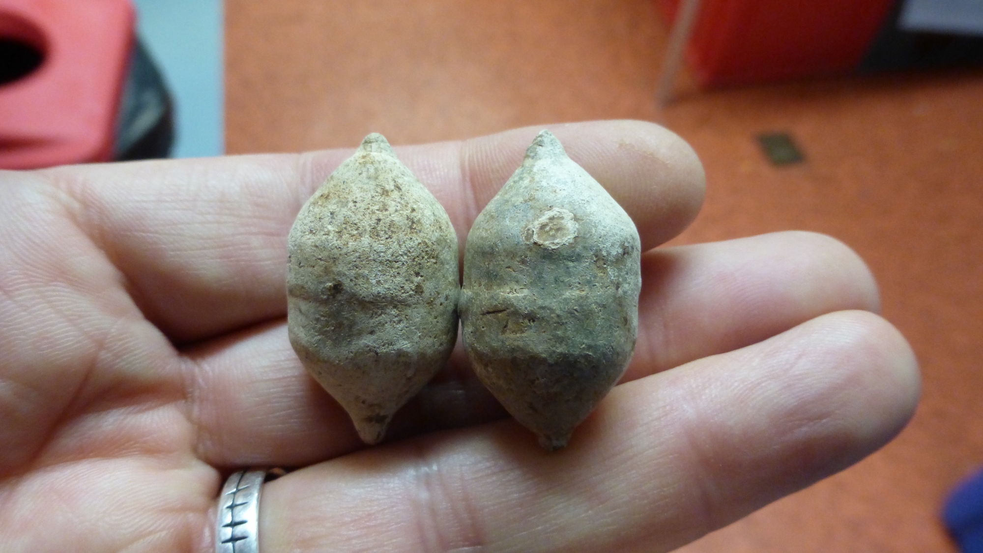 Hands on History - Trimontium Museum